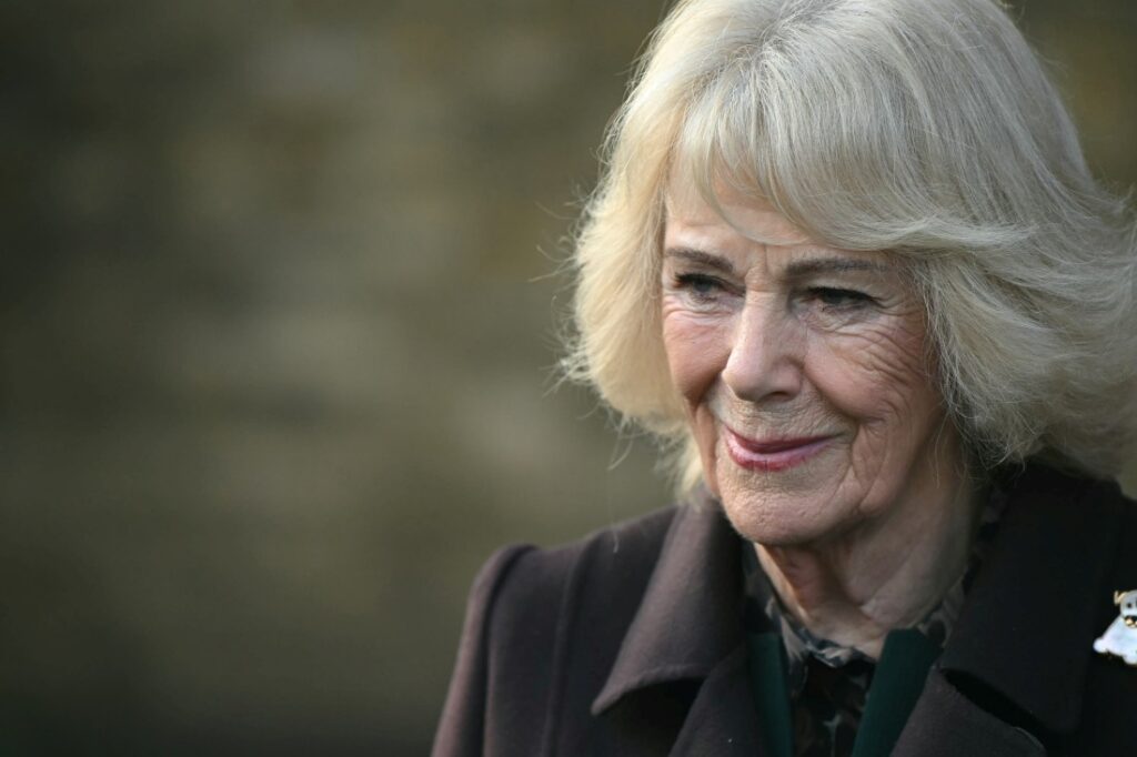 Queen Camilla stayed silent when asked about Jeffrey Epstein’s victims