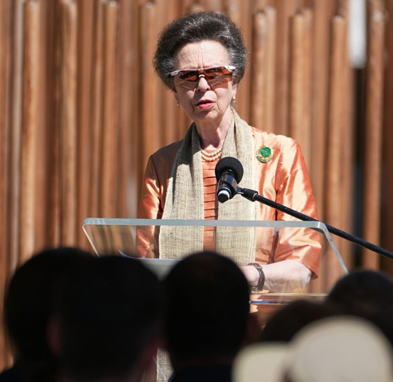 Poor Princess Anne, 75, will play a ‘pivotal’ role in keeping the ...